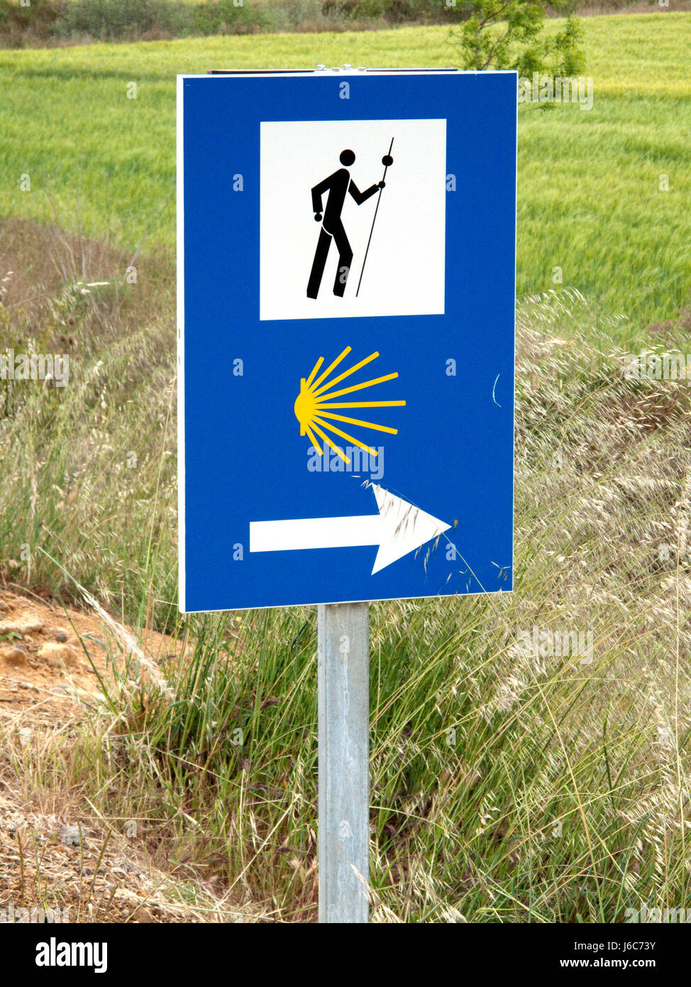 Jakobsmuschel santiago hi-res stock photography and images - Alamy