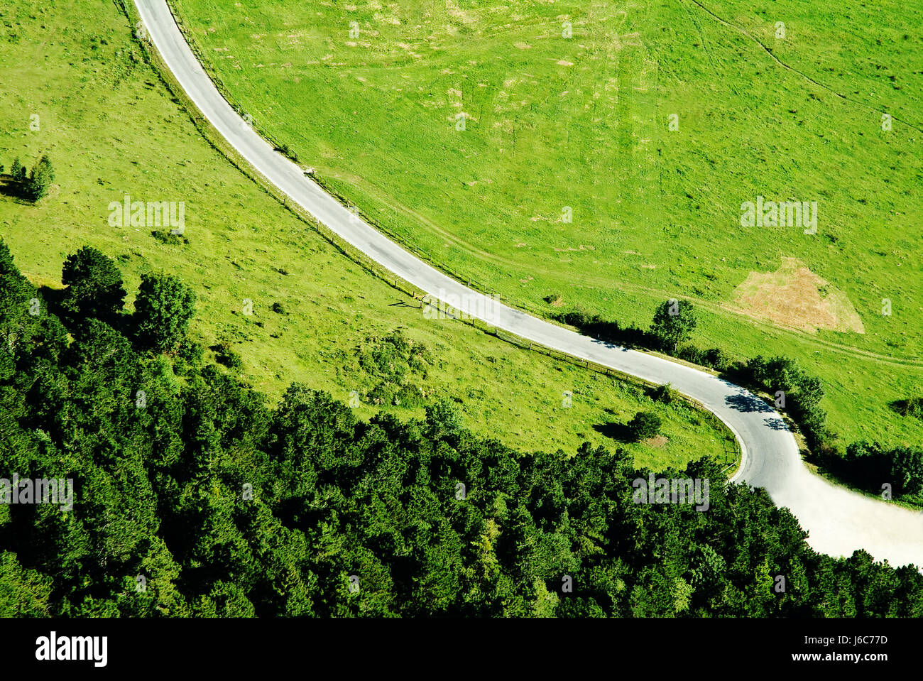 road through a meadow Stock Photo - Alamy