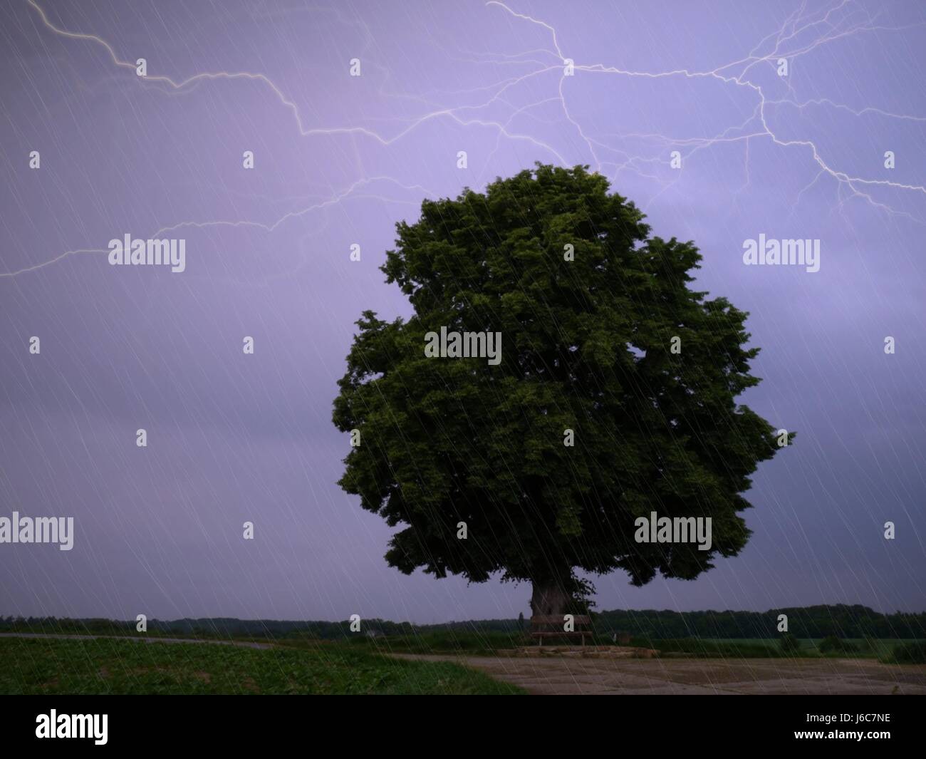 Tree rain lightning hi-res stock photography and images - Alamy