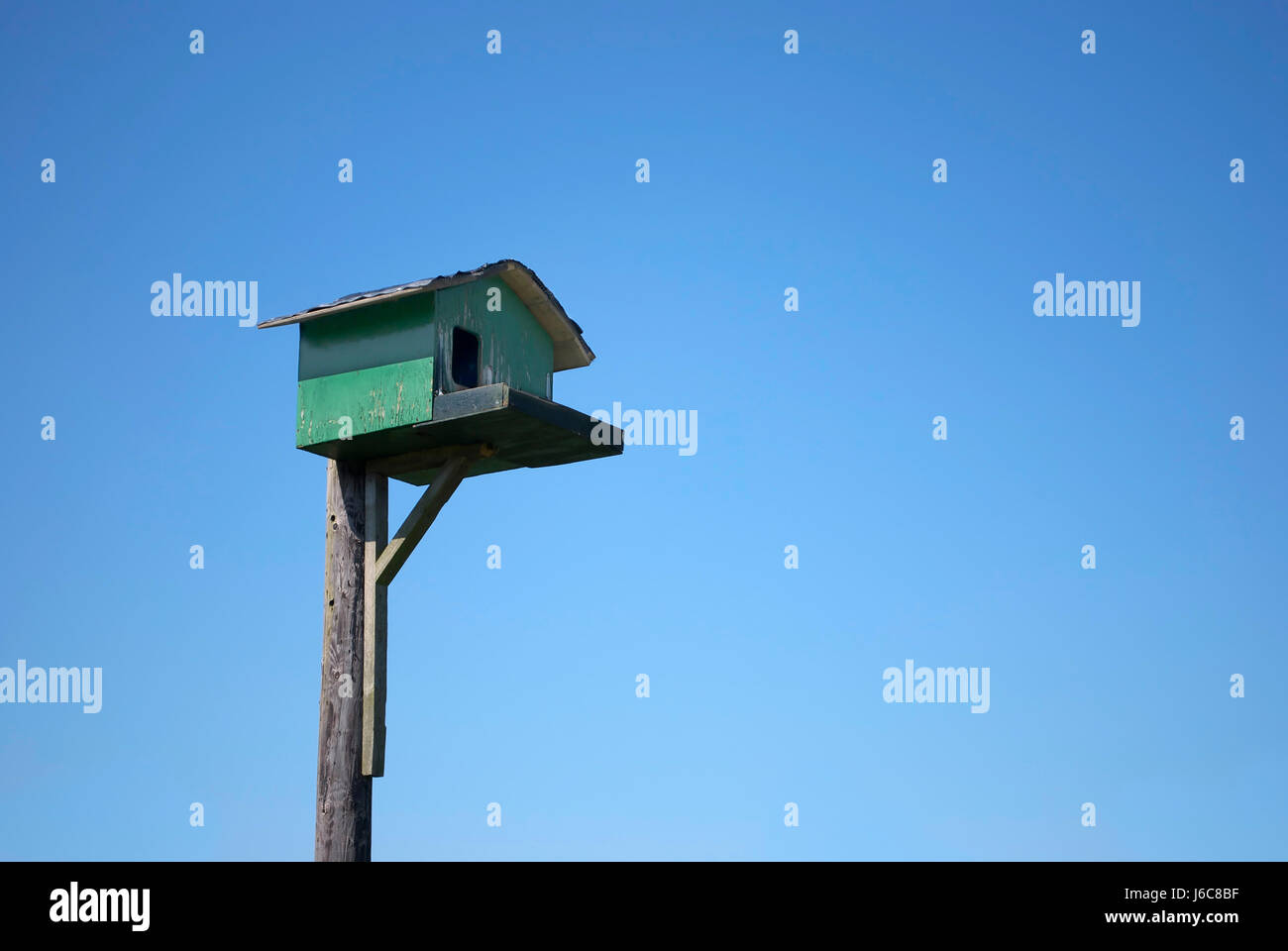 blue habitat firmament sky nature home blue house building bird habitat ...