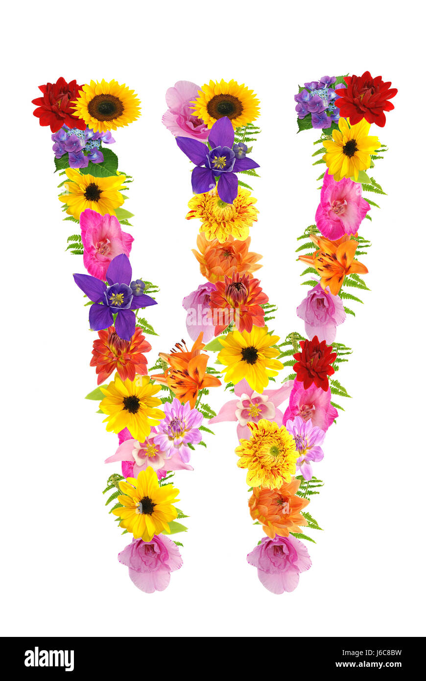 flower flowers plant letters letter alphabet symbolic coloured ...
