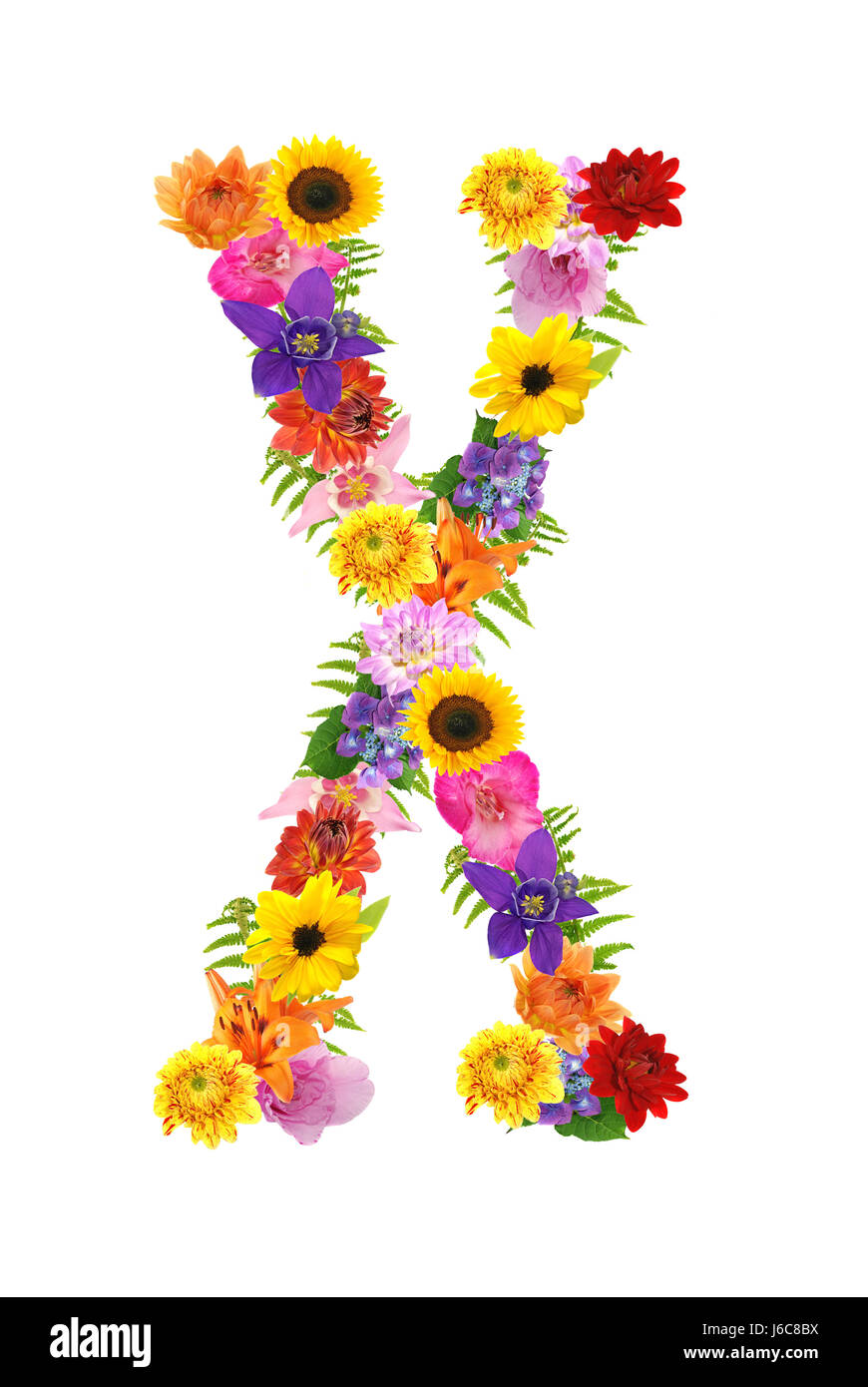 flower flowers plant letters letter alphabet symbolic coloured ...