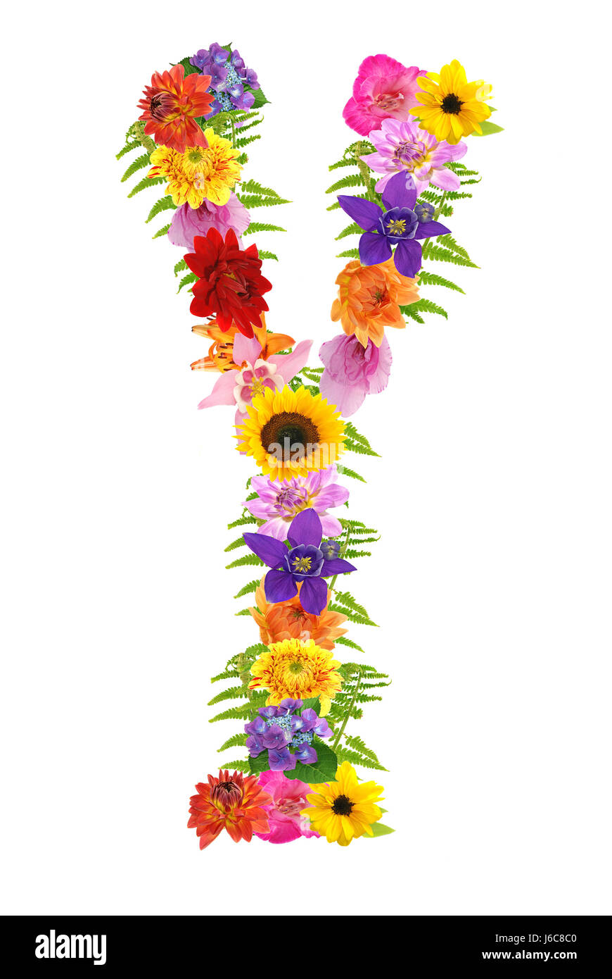 flower flowers plant letters letter alphabet symbolic coloured ...