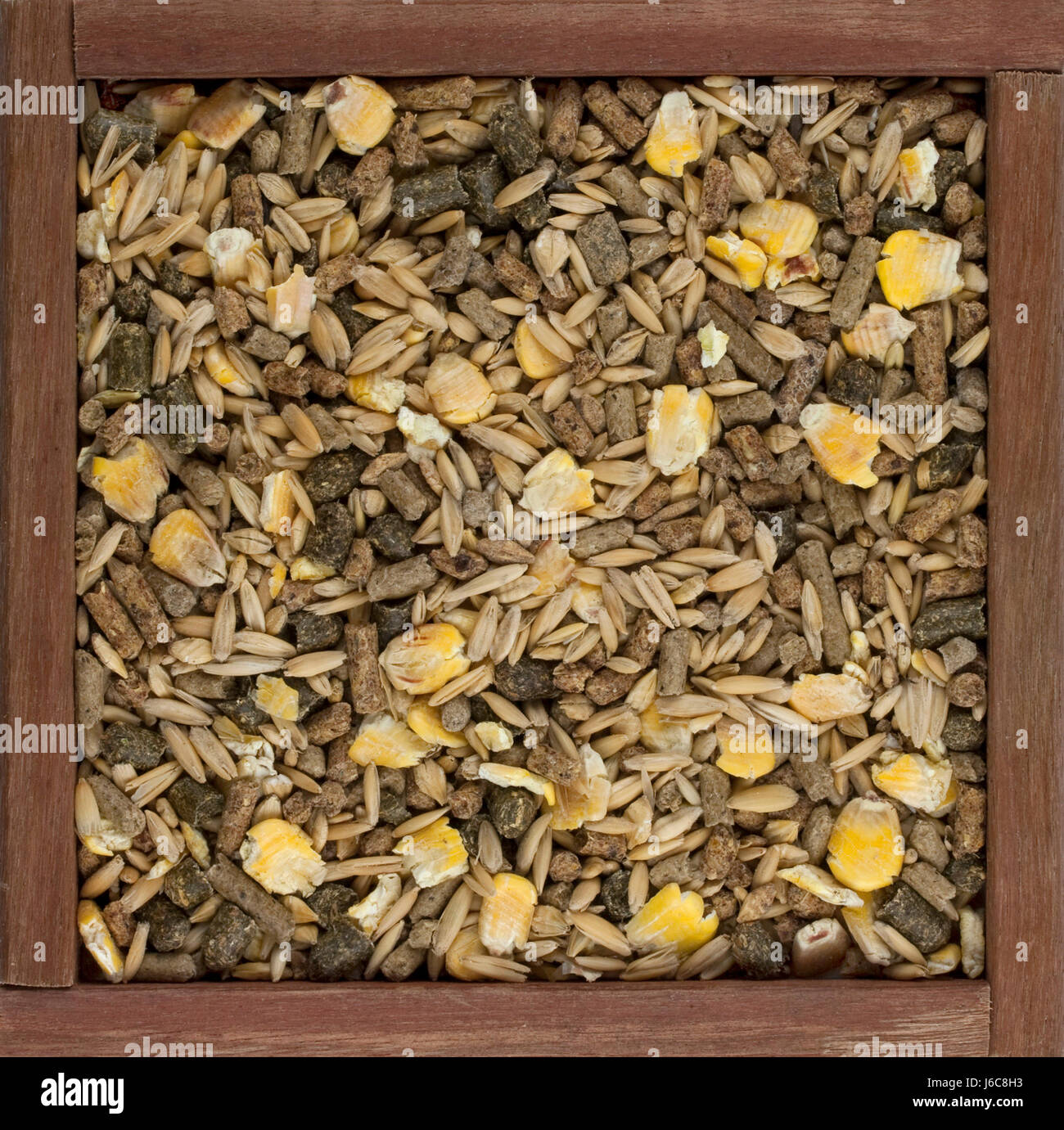 Corn horse hi-res stock photography and images - Alamy