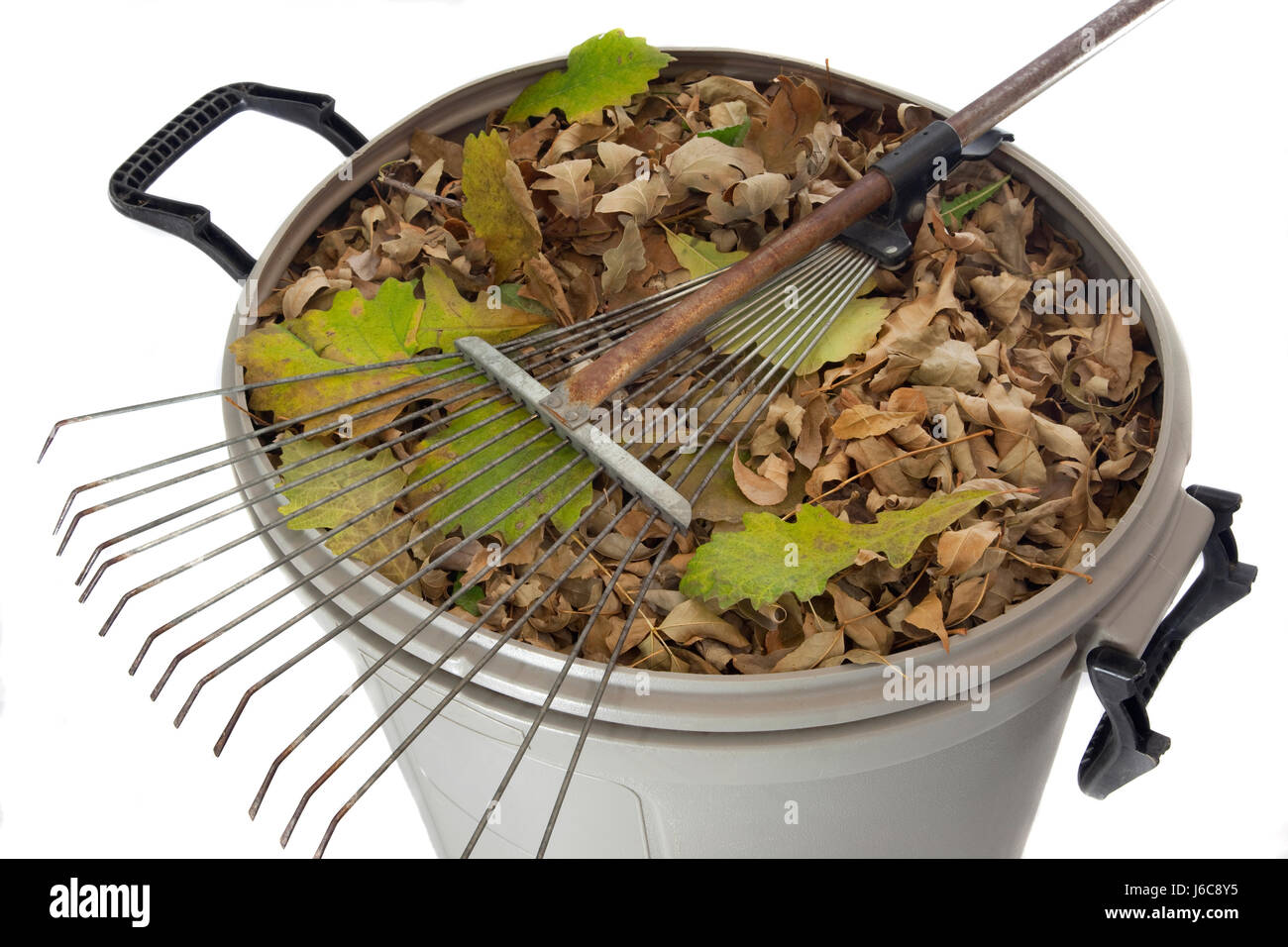 leaf bucket dry dried up barren container barrel containers rake leaf ...