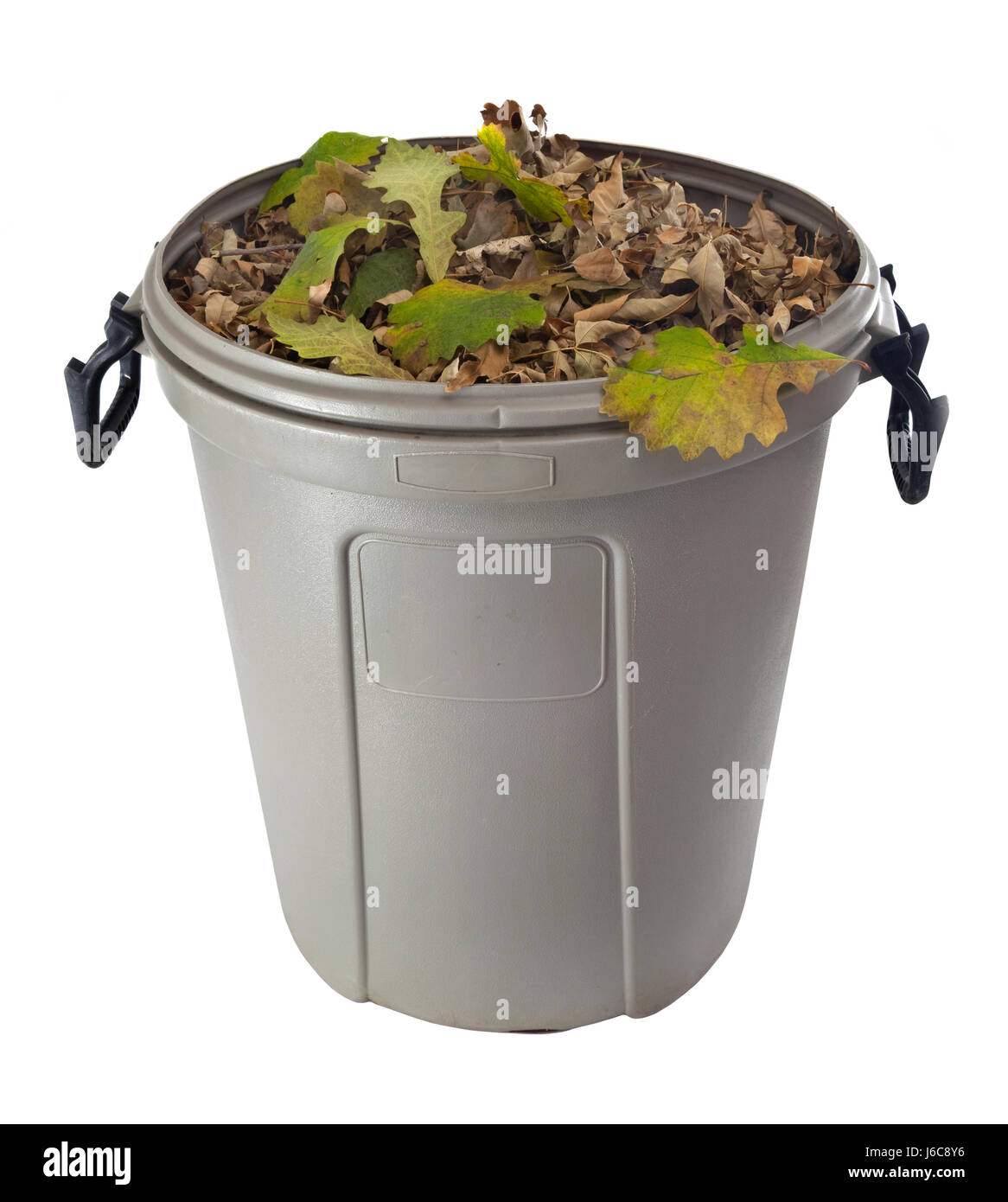 leaf leaves dry dried up barren bin foliage leaf oak bucket vertical ...