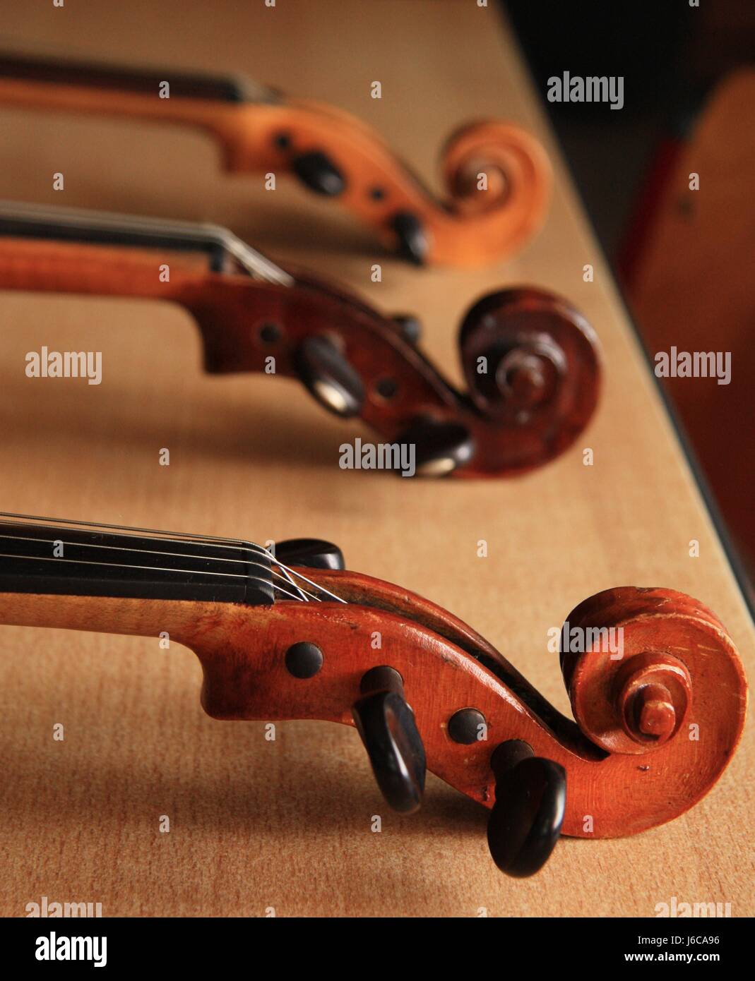 music snail violin concert bowed instrument trio stringed instrument ...