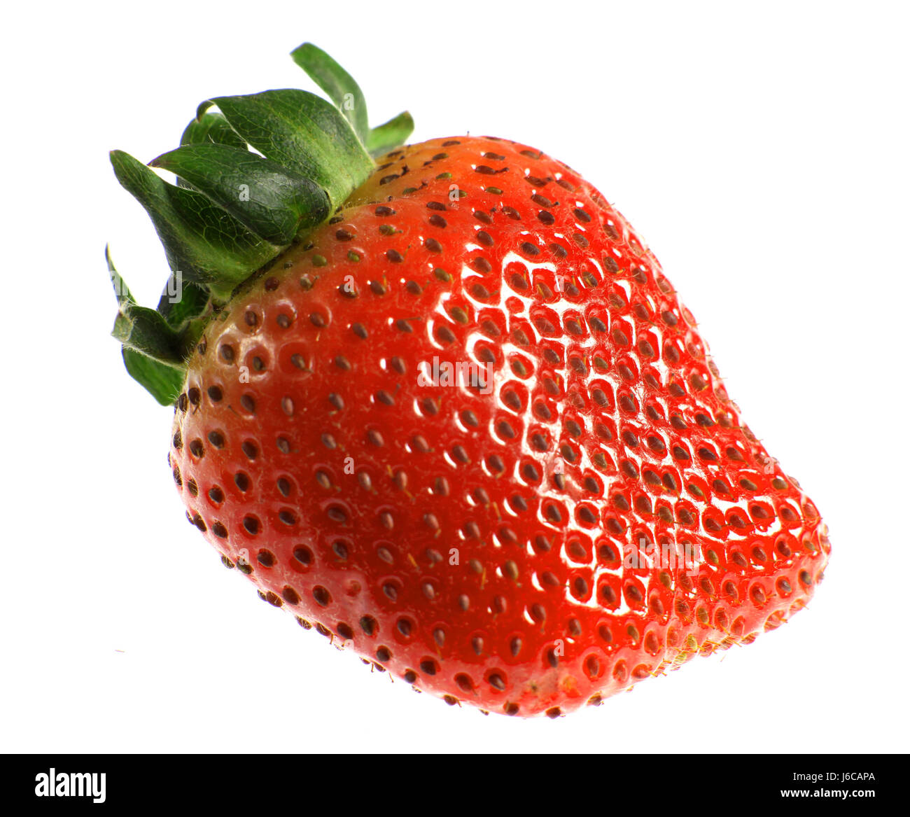 single isolated closeup fruit strawberry stalk stem alone lonely red ...