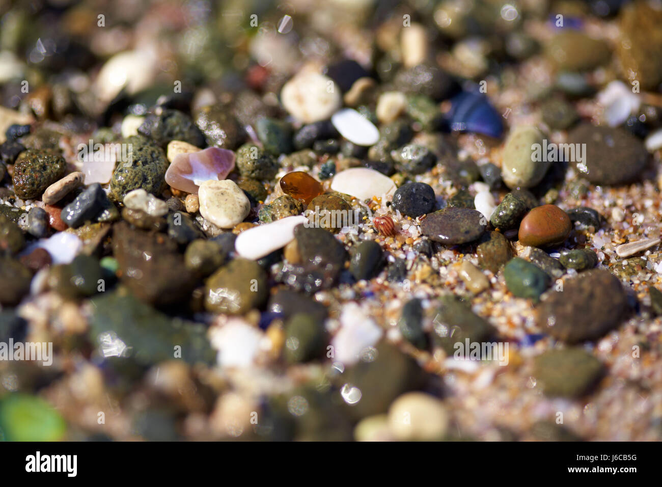 stone beach seaside the beach seashore color paint health macro close ...