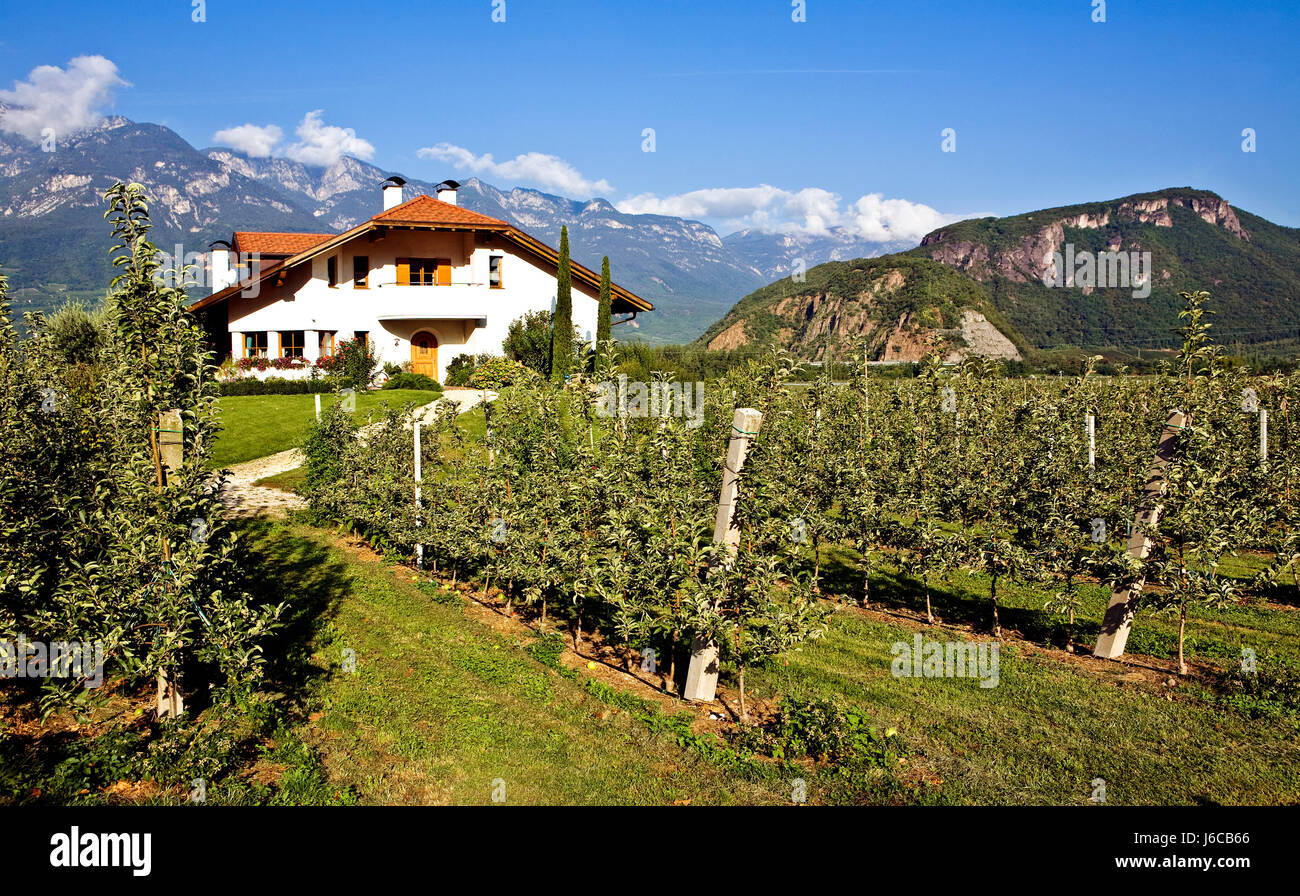 house building south tyrol apples apple orcharding fruit-growing ...