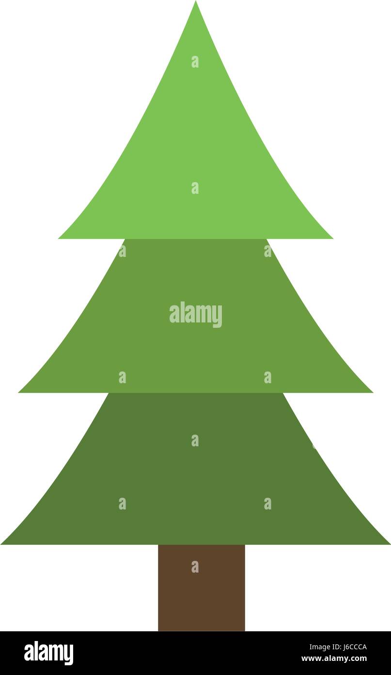 tree pine natural environment ecological symbol Stock Vector Image ...