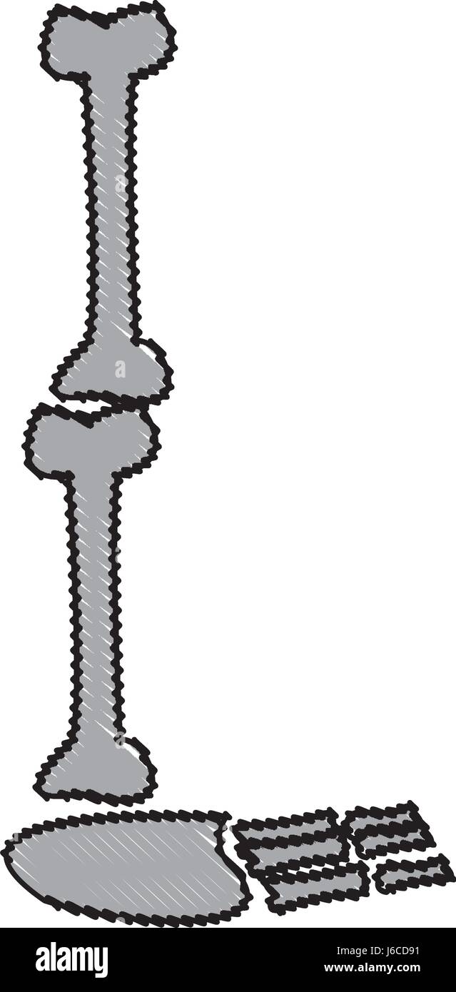 cartoon leg bone part skeleton comic Stock Vector Image & Art - Alamy