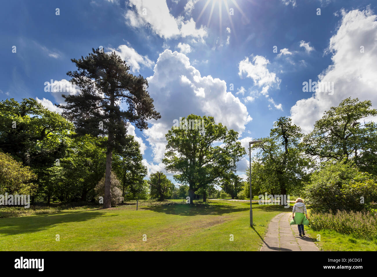 University of essex colchester campus hi-res stock photography and ...