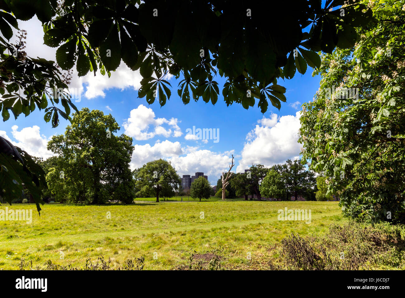 University grounds hi-res stock photography and images - Alamy