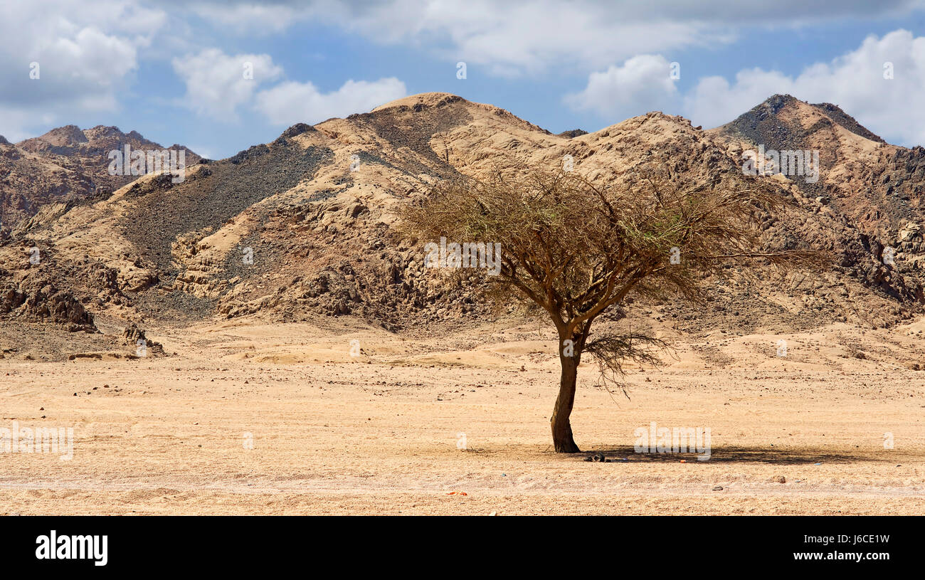 wait until the rain comes Stock Photo - Alamy