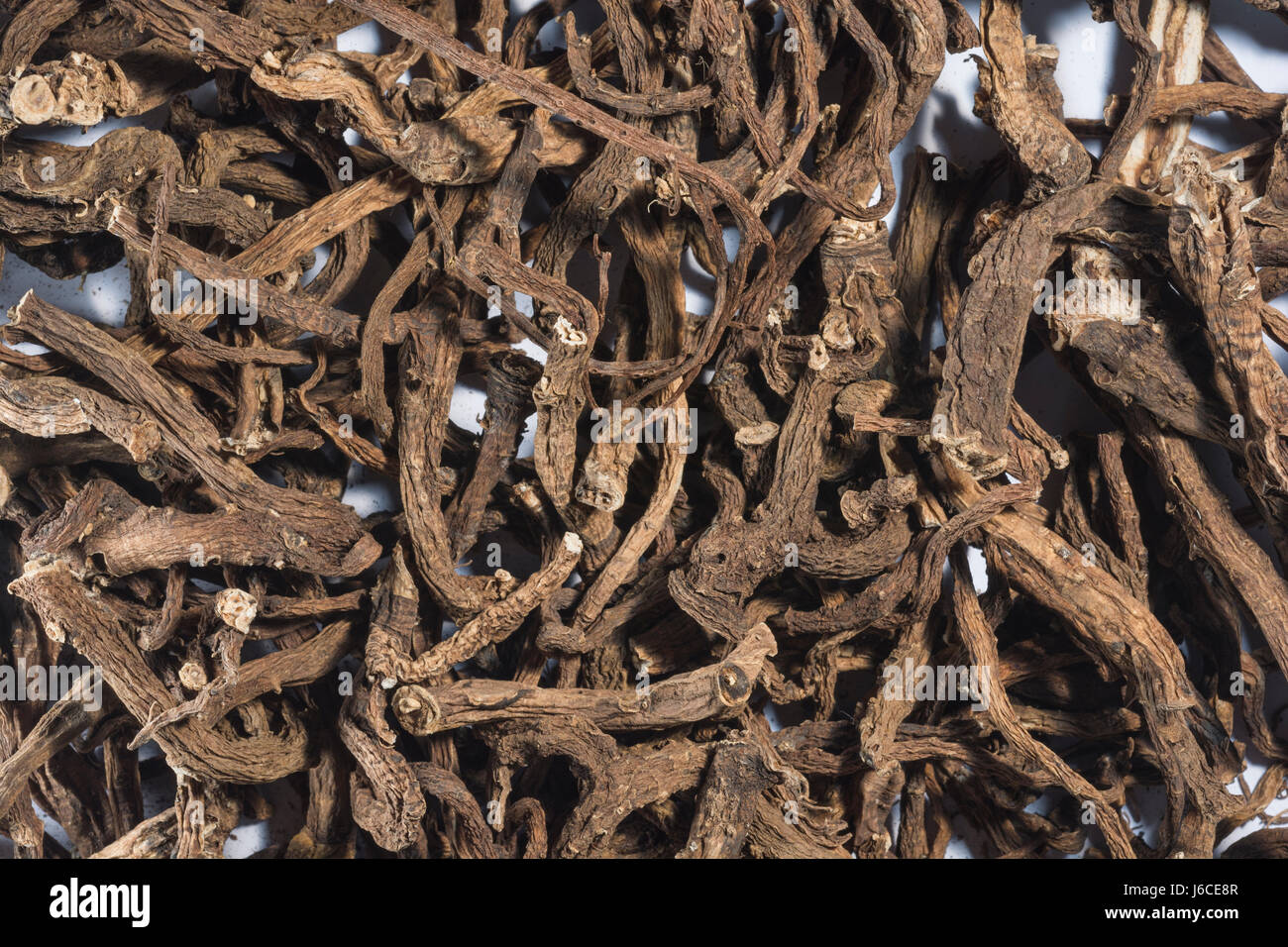 Dried roots of Dandelion / Taraxacum officinale - used to make caffeine ...