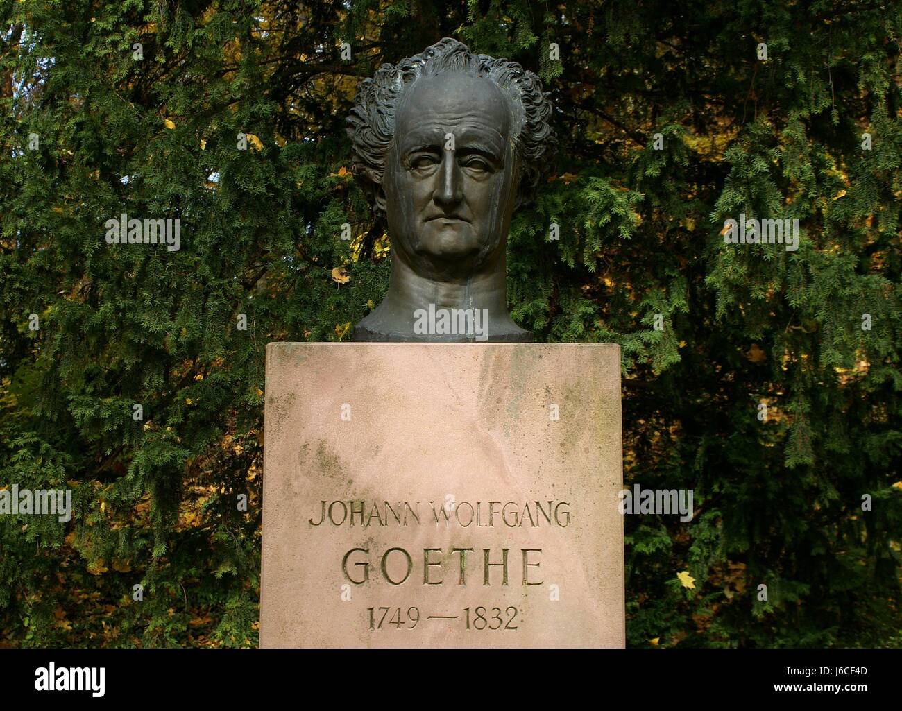 tree trees statue bust poet tree trees statue bust poet fall autumn ...