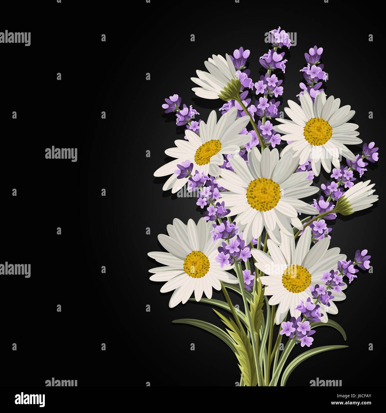 Dark lavender Stock Vector Images - Alamy