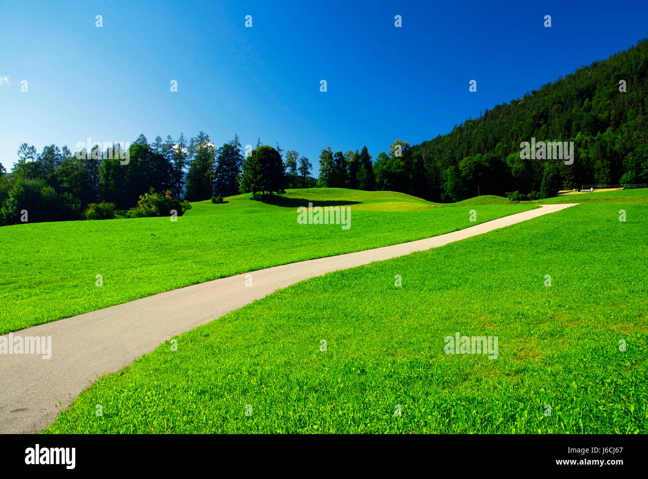 spring bouncing bounces hop skipping frisks jumping jump alpine ...