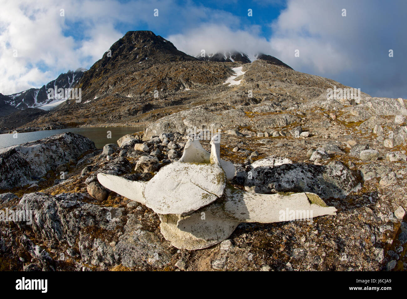 Svalbard (Spitsbergen), Norwegian archipelago in the Arctic Ocean Stock ...