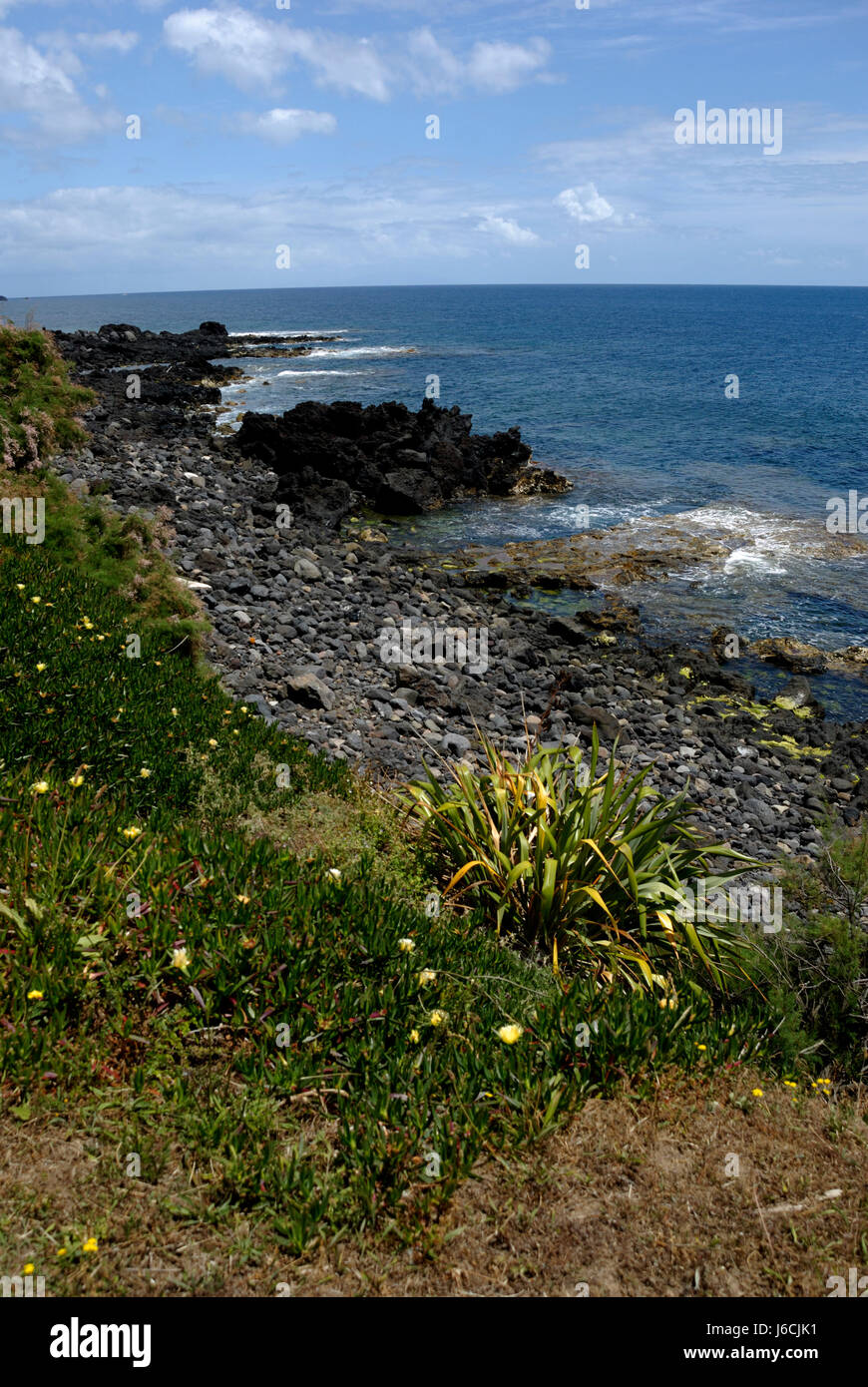 coast at carapacho Stock Photo - Alamy