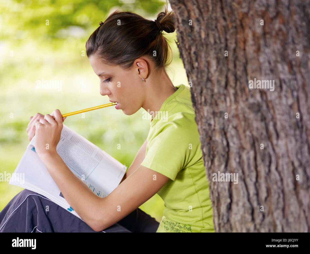 woman humans human beings people folk persons human human being ...