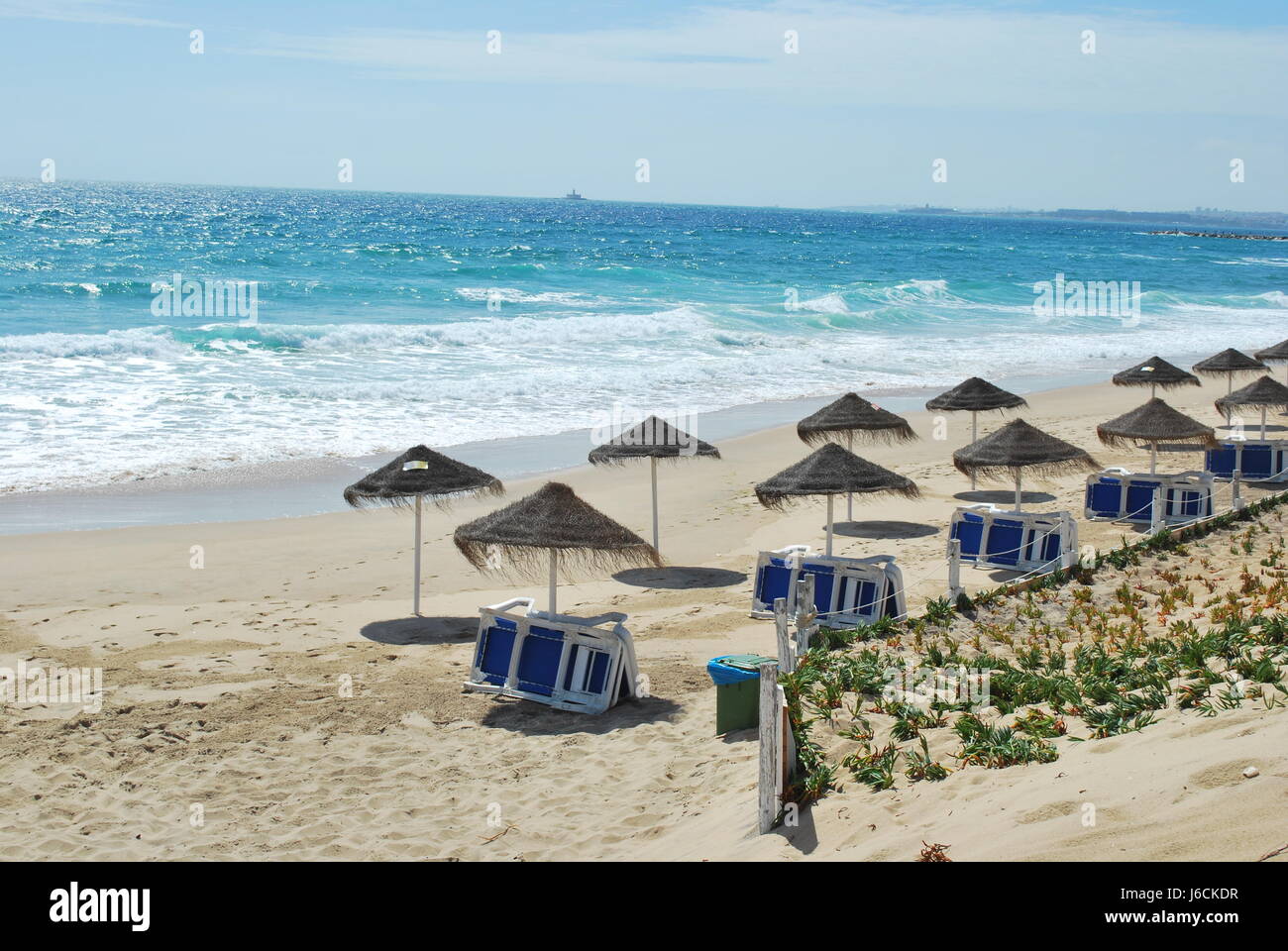 beach seaside the beach seashore summer summerly tropical salt water ...