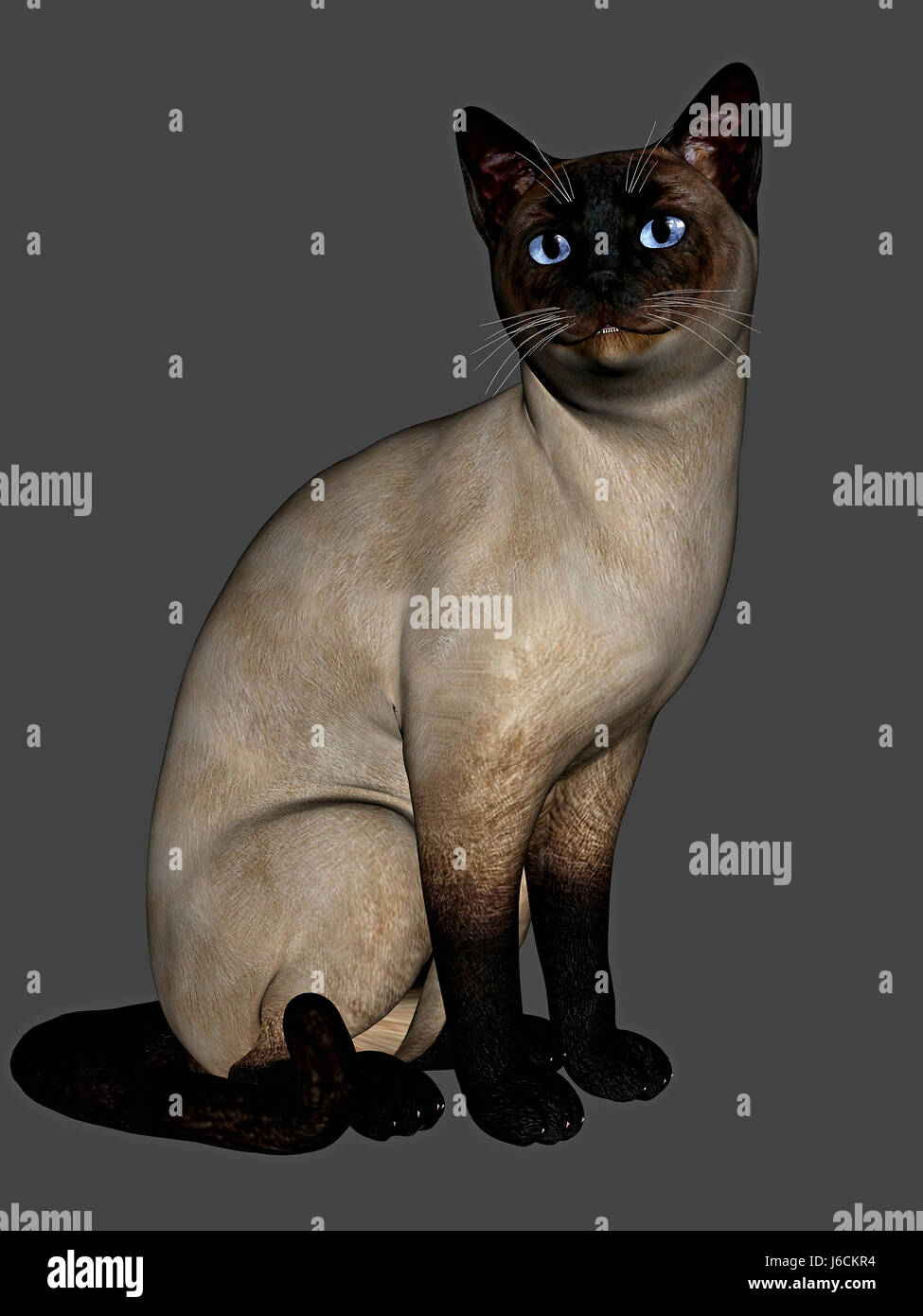 illustration pussycat cat domestic cat art experiment graphic fantasy ...