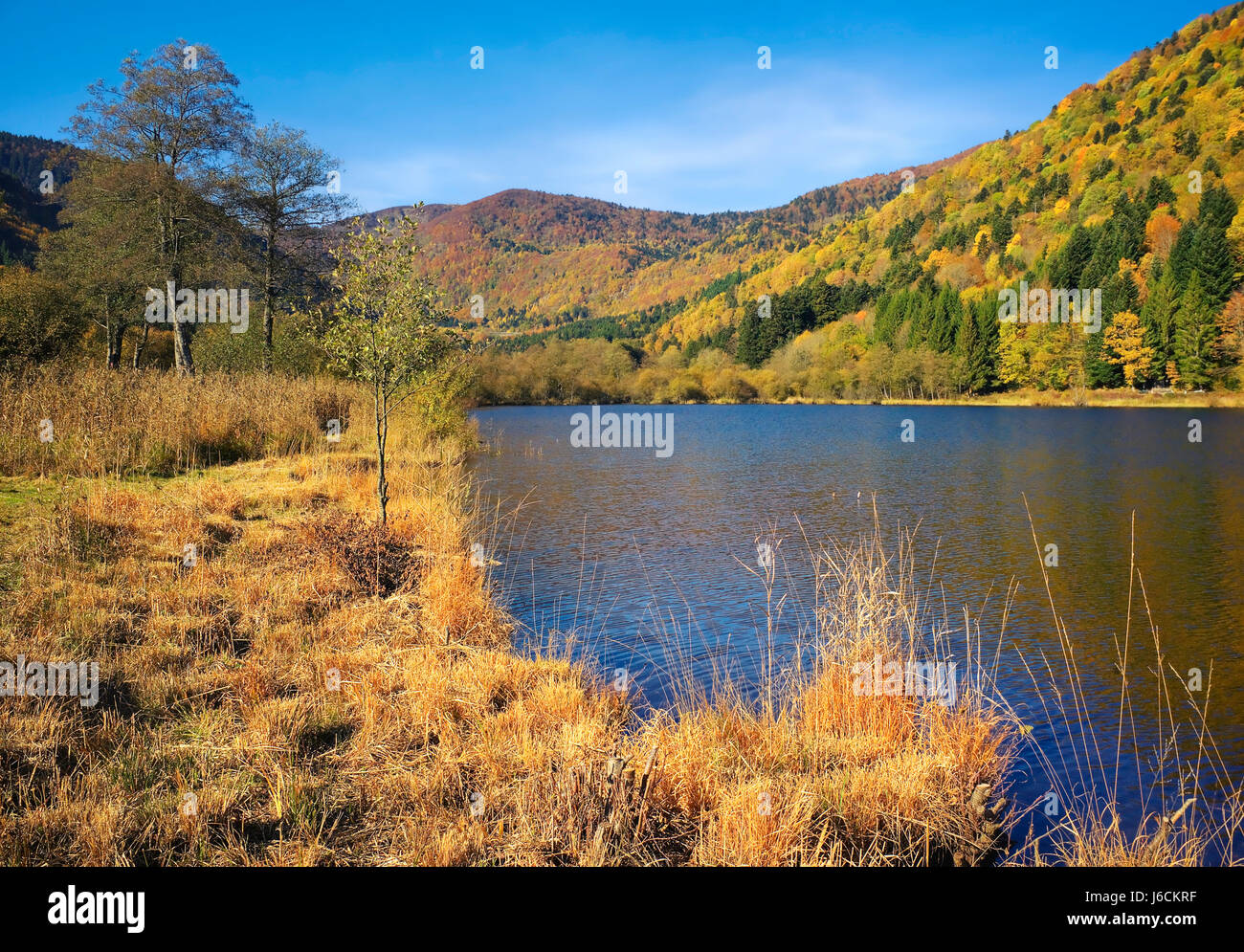 lac de seewen Stock Photo - Alamy
