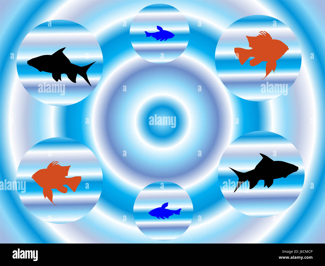 blue animal aquarium fish backdrop background blue shine shines bright ...
