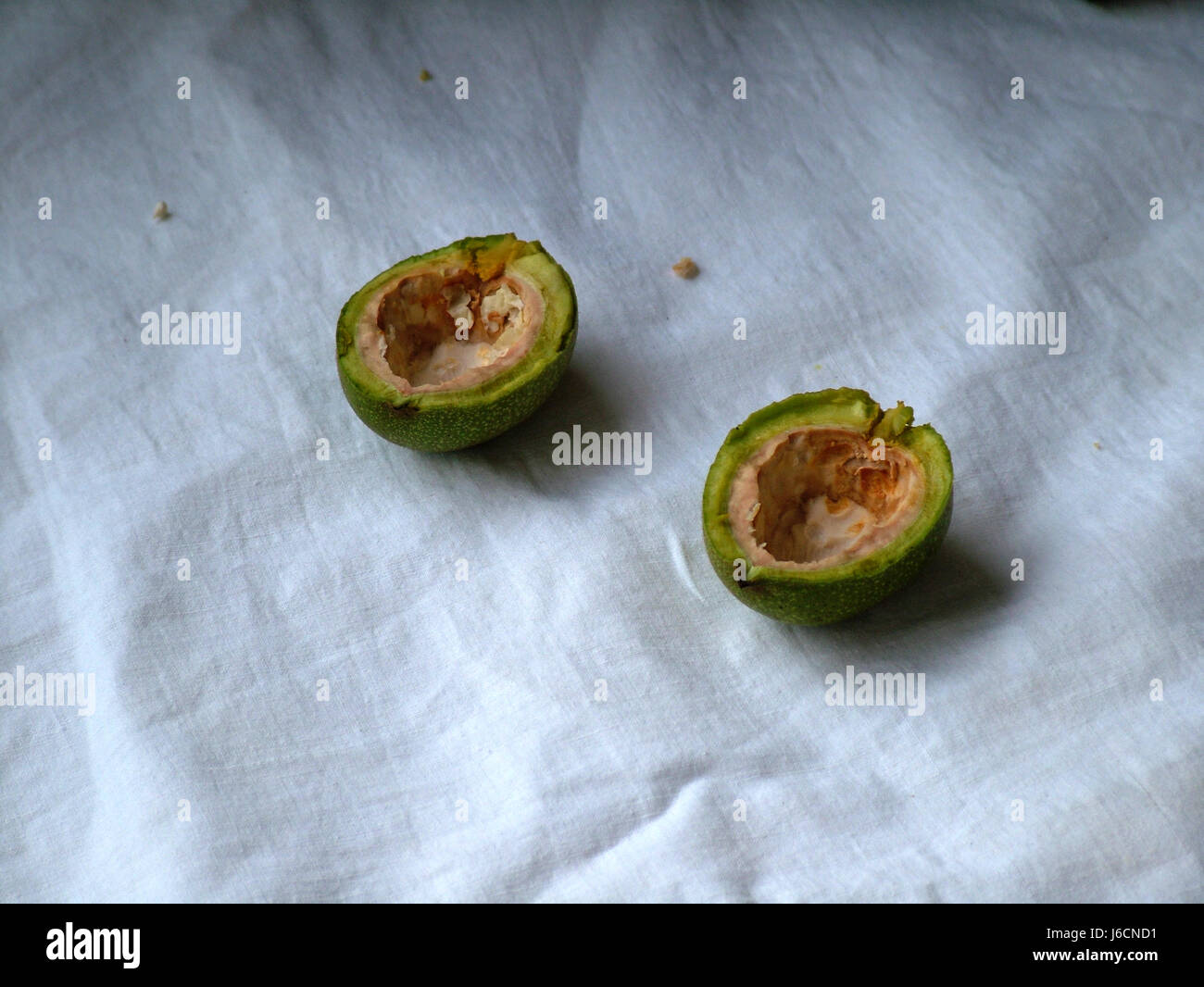 Walnut Acrut, Walnut In Shell (Akhrot), Akhrot (Juglans Regia), Walnut ...