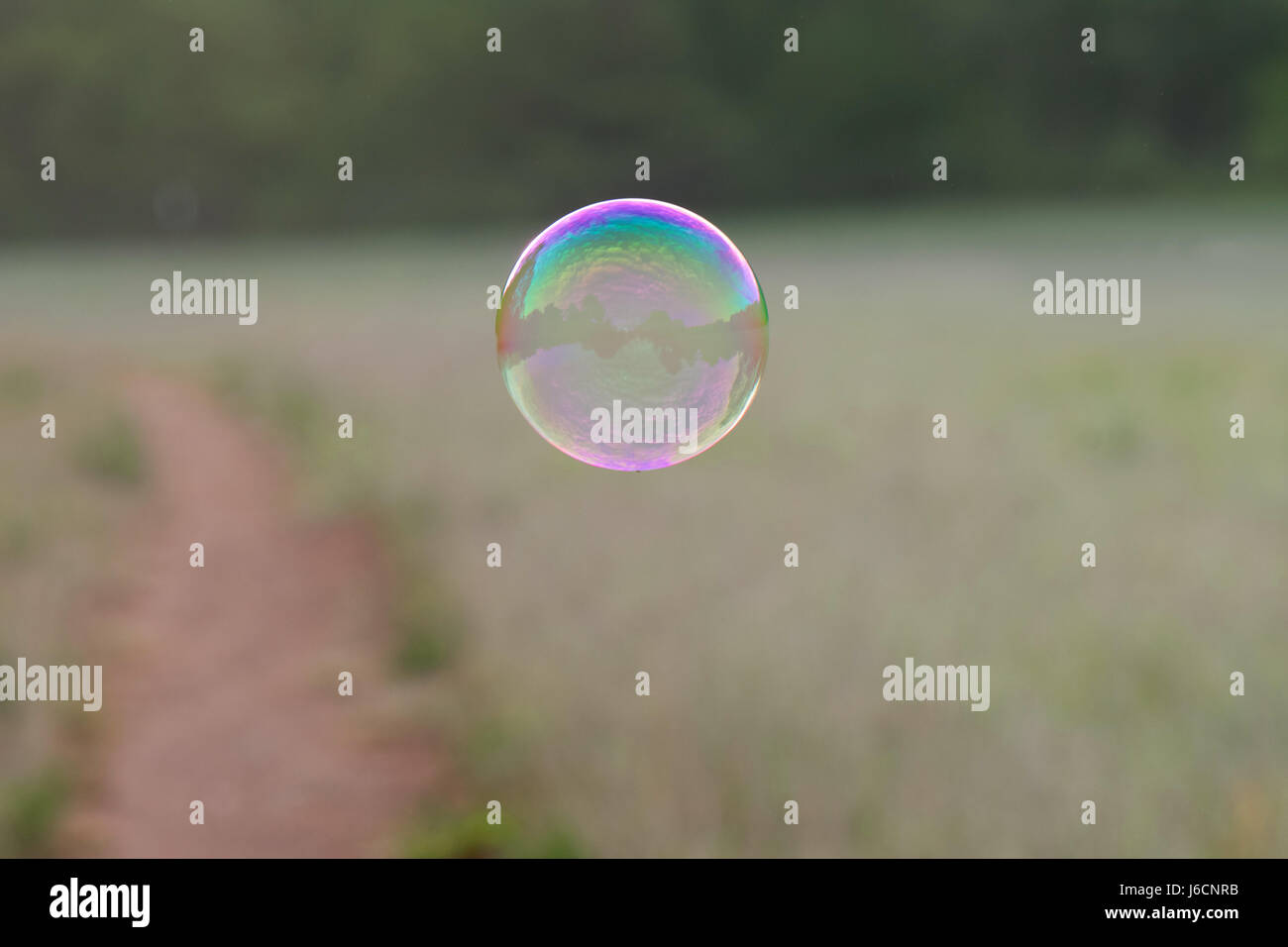 A transparent bubble lifts off during backyard play Stock Photo - Alamy