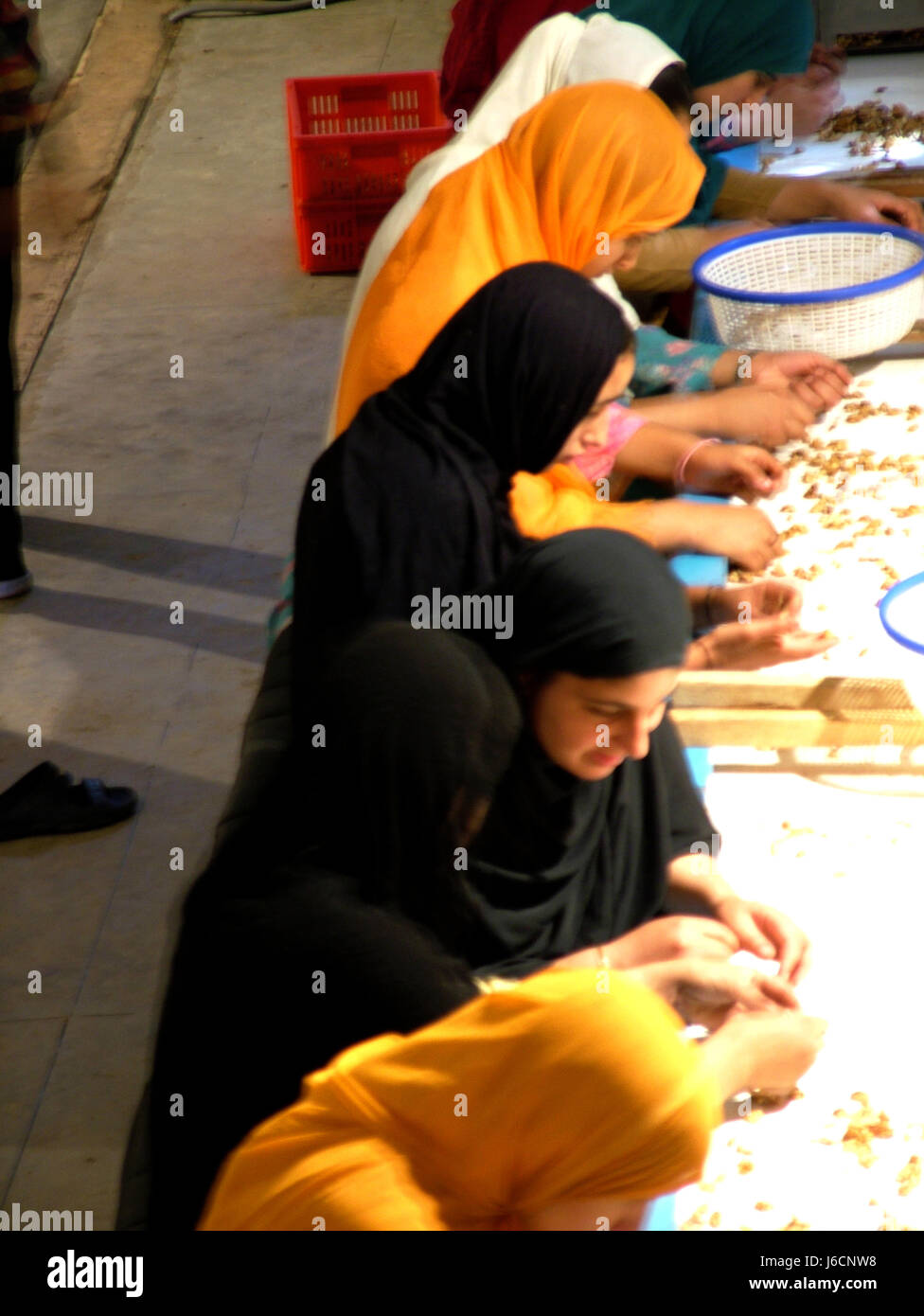 Kashmiri Women Labour at Walnut production unit, factory Srinagar ...