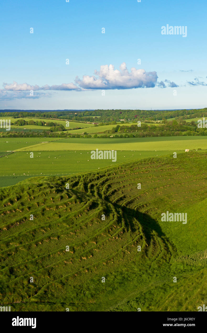 Maiden_castle hi-res stock photography and images - Alamy