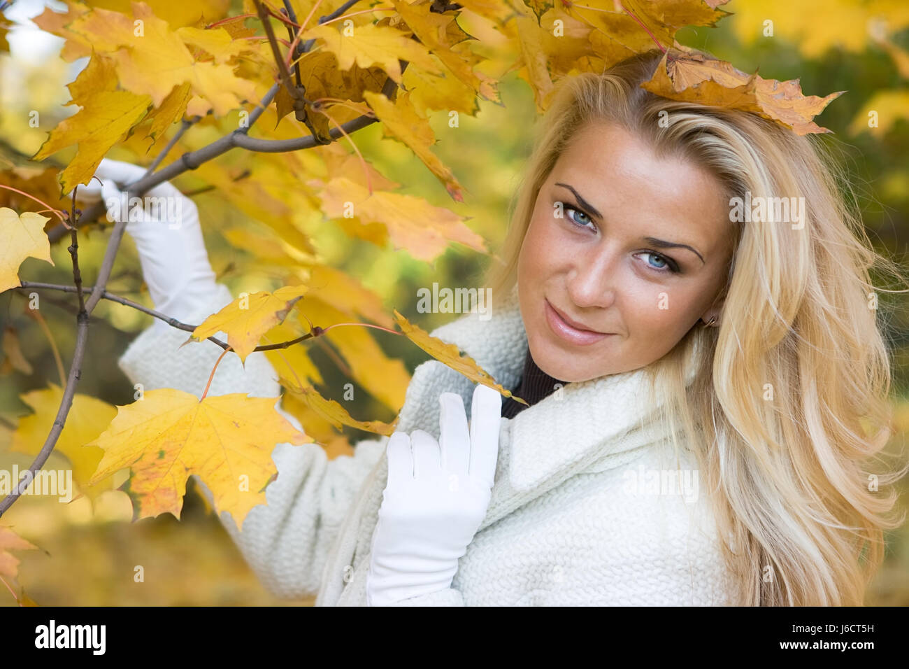 woman lady day during the day maple girl girls yellow fall autumn leaf ...