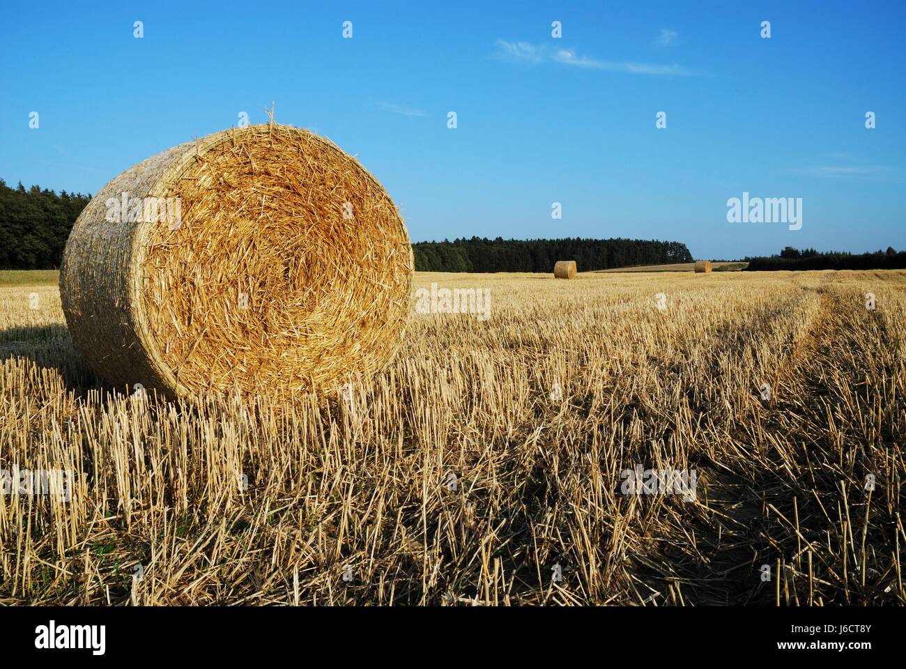 agriculture farming field harvest hay landscape scenery countryside ...