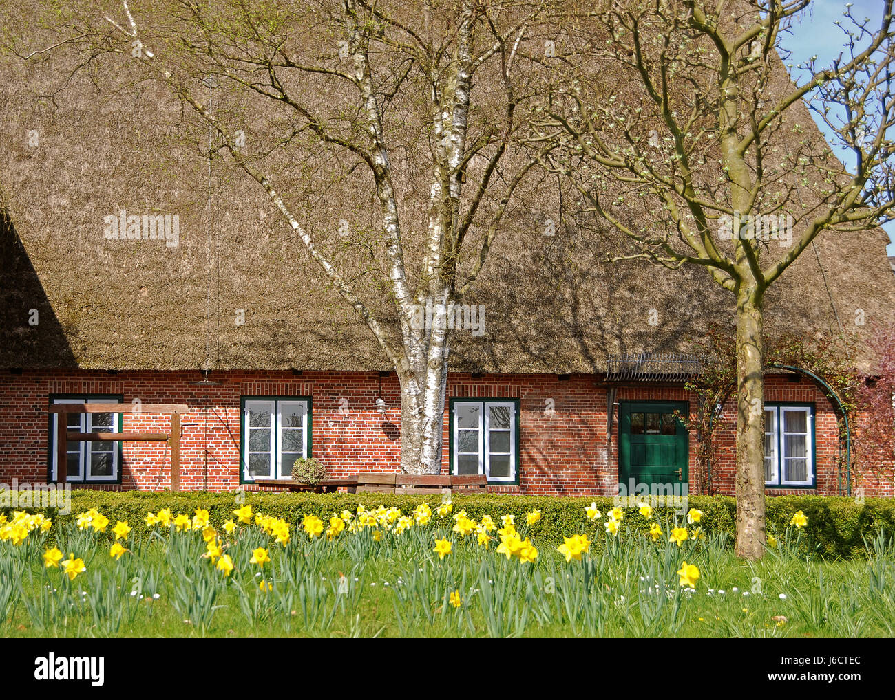 house home dwelling house residential building building spring ...