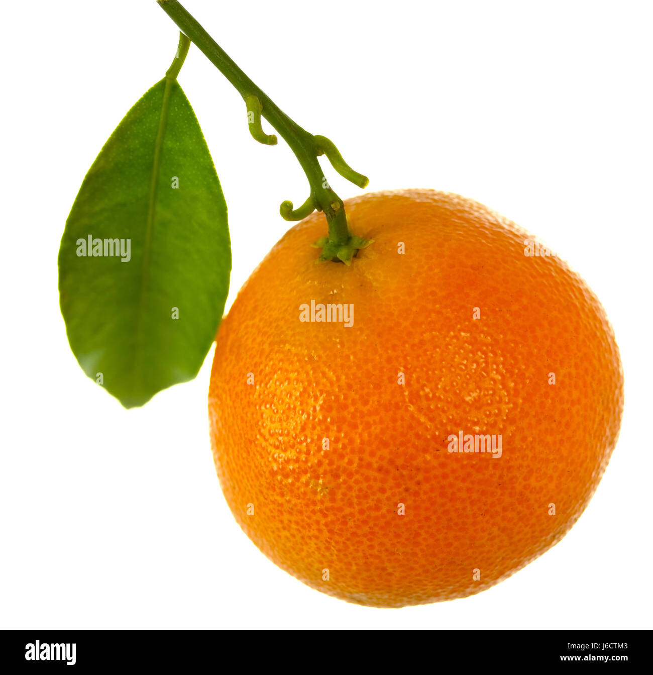 orange isolated optional green juice tangerine page sheet orange ...