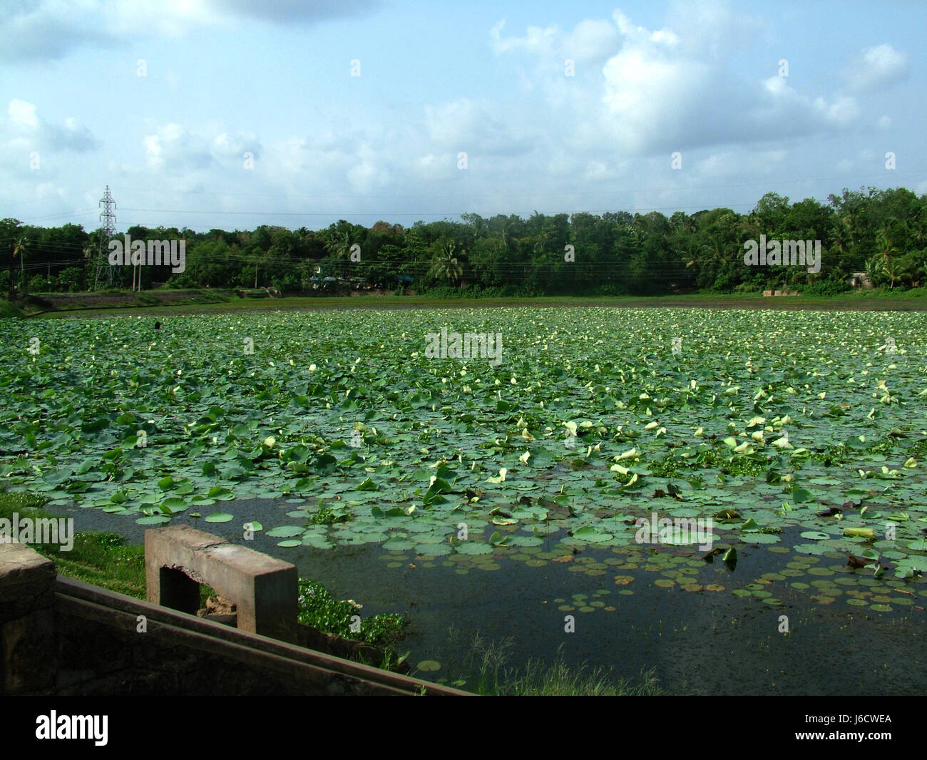 Beautiful Landscape, Village Surrounded by Greenery Mountain, Indian ...