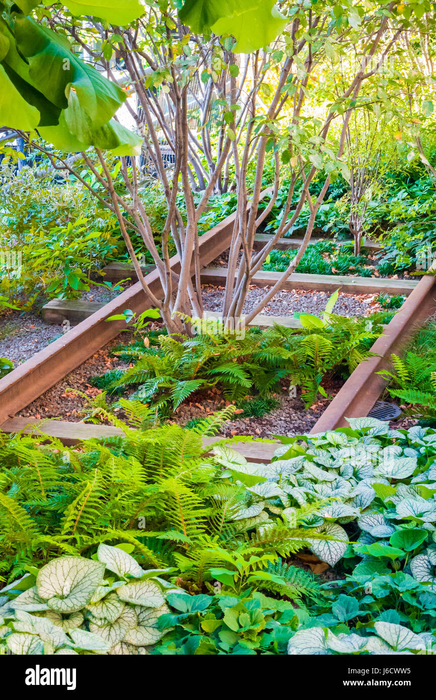 Many plants growing between old railroad tracks in New York Stock Photo ...