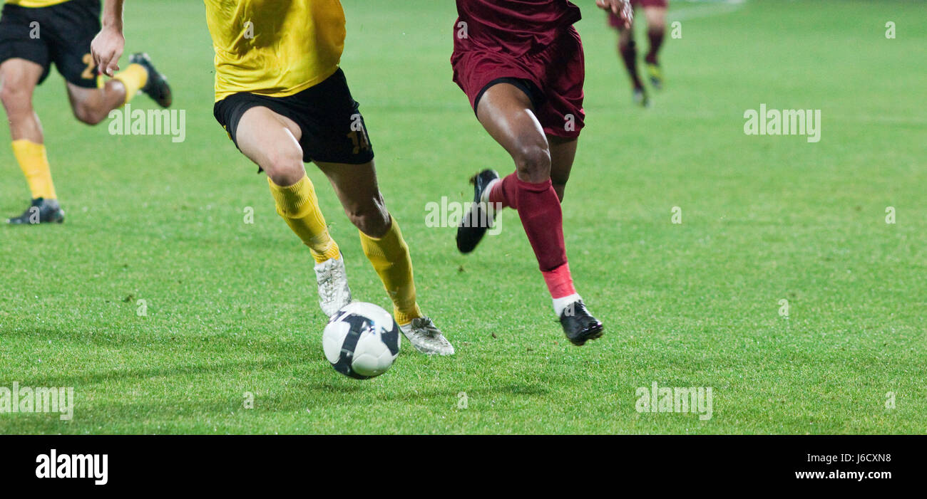 sport sports ball player soccer football humans human beings people ...