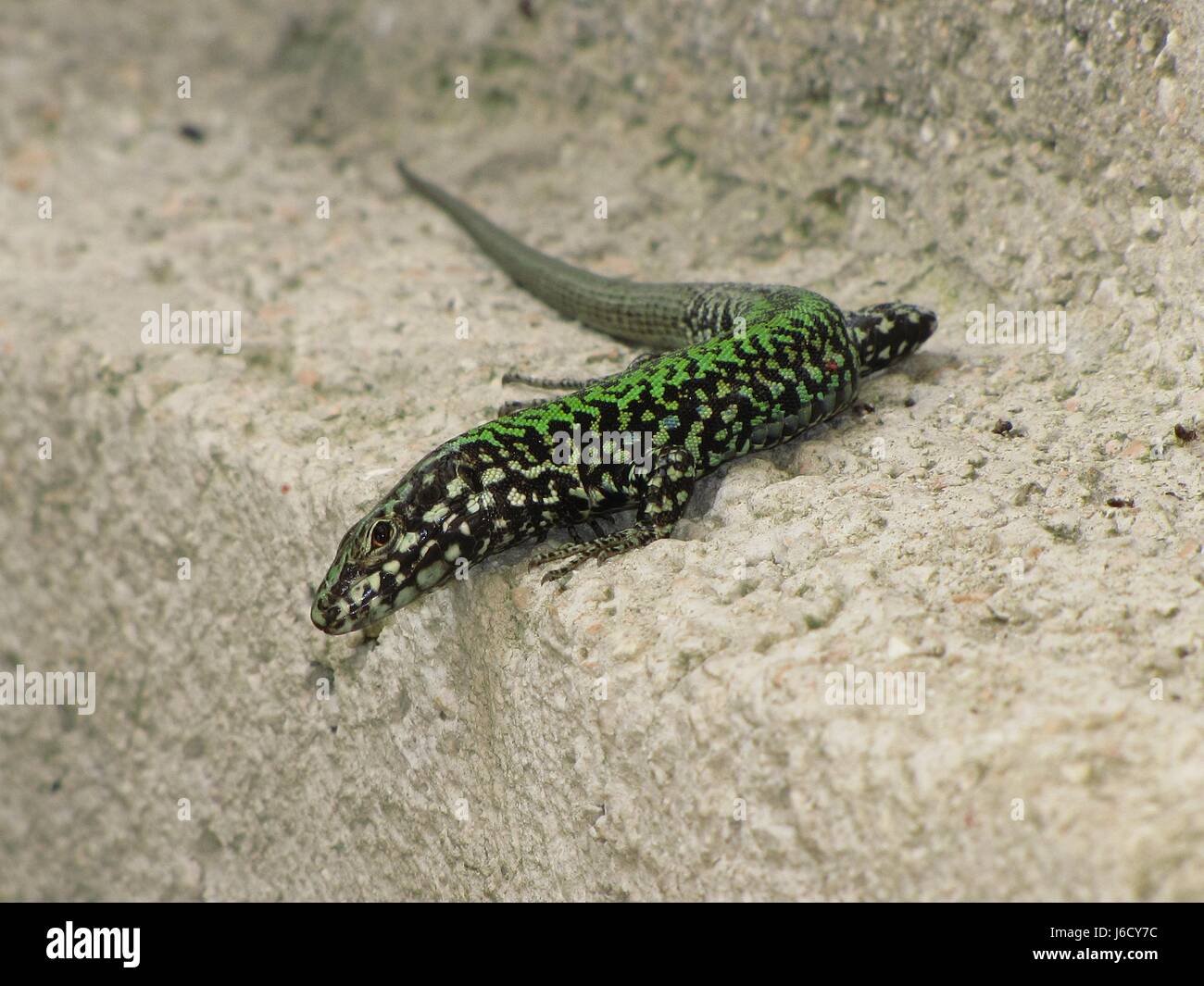 Wriggle toes hi-res stock photography and images - Alamy