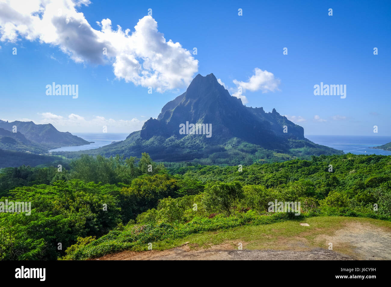 Aerial view of Opunohu, Cook’s Bay and lagoon in Moorea Island. French ...