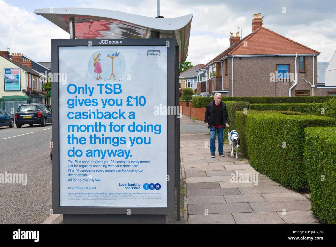 TSB advertising billboard on JCDecaux bus shelter site in Newport ...
