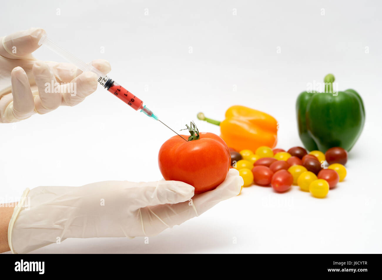GMO experiment scientist injecting liquid into tomato on white ...
