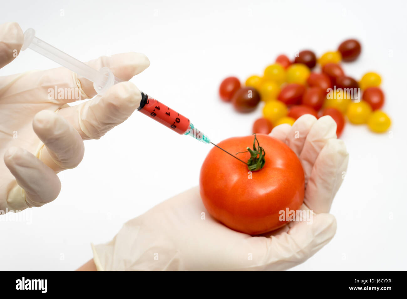 GMO experiment scientist injecting liquid into tomato on white ...