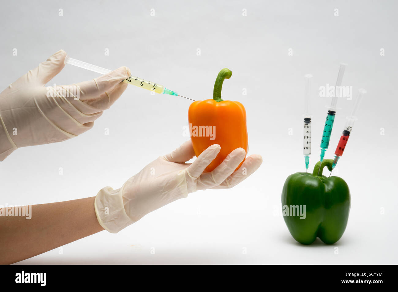 GMO experiment scientist injecting liquid into pepper on white ...