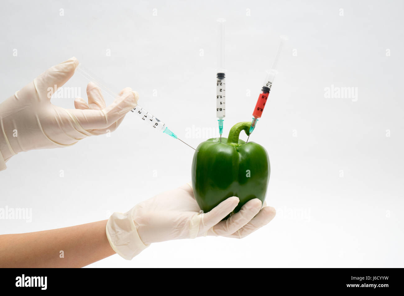 GMO experiment scientist injecting liquid into pepper on white ...