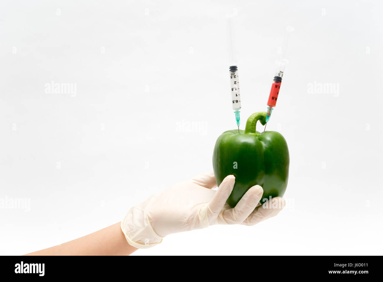 GMO experiment scientist injecting liquid into pepper on white ...