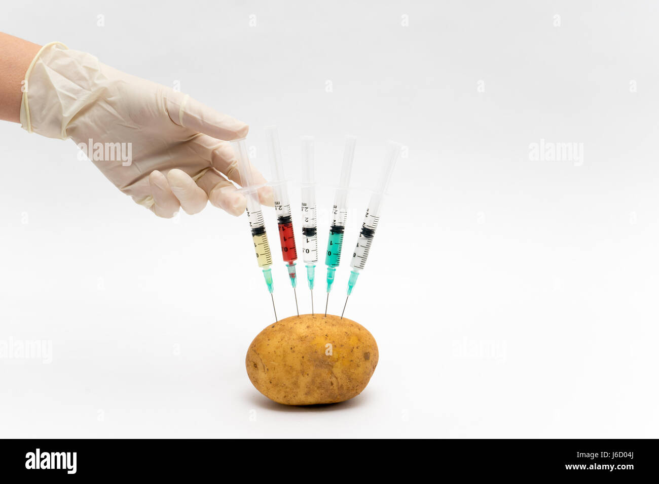 GMO experiment scientist injecting liquid into potato on white ...